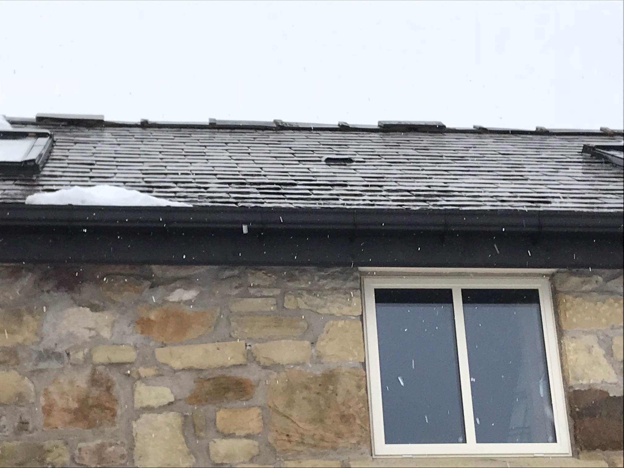 Bat Survey and Planning Permission: what do I need to know?